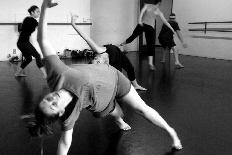 | MTC- New Works Project 2014LA Dance Review